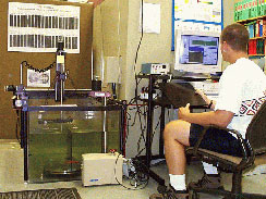 Nondestructive Evaluation Techniques : Ultrasound